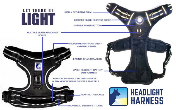 Headlight_Harness_description_grande.png?v=1728497574