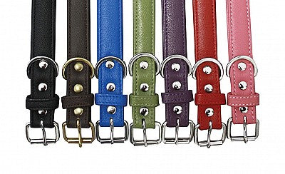 AlpineCollarColours2021_grande.jpg?v=1619456264