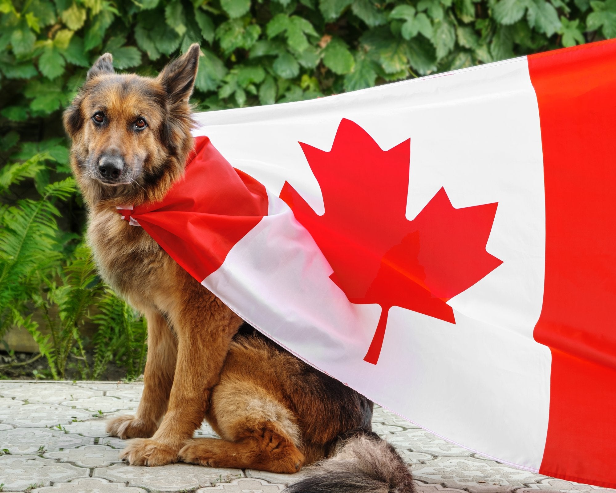 PROUDLY CANADIAN
